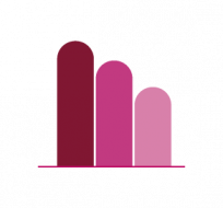 Web Builder de DataCrush